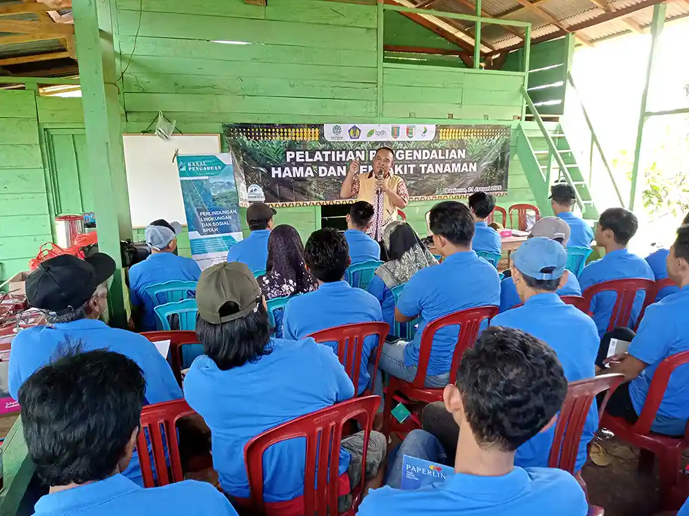 Keseimbangan Alam: Kunci Pengendalian Hama di Hutan Lampung