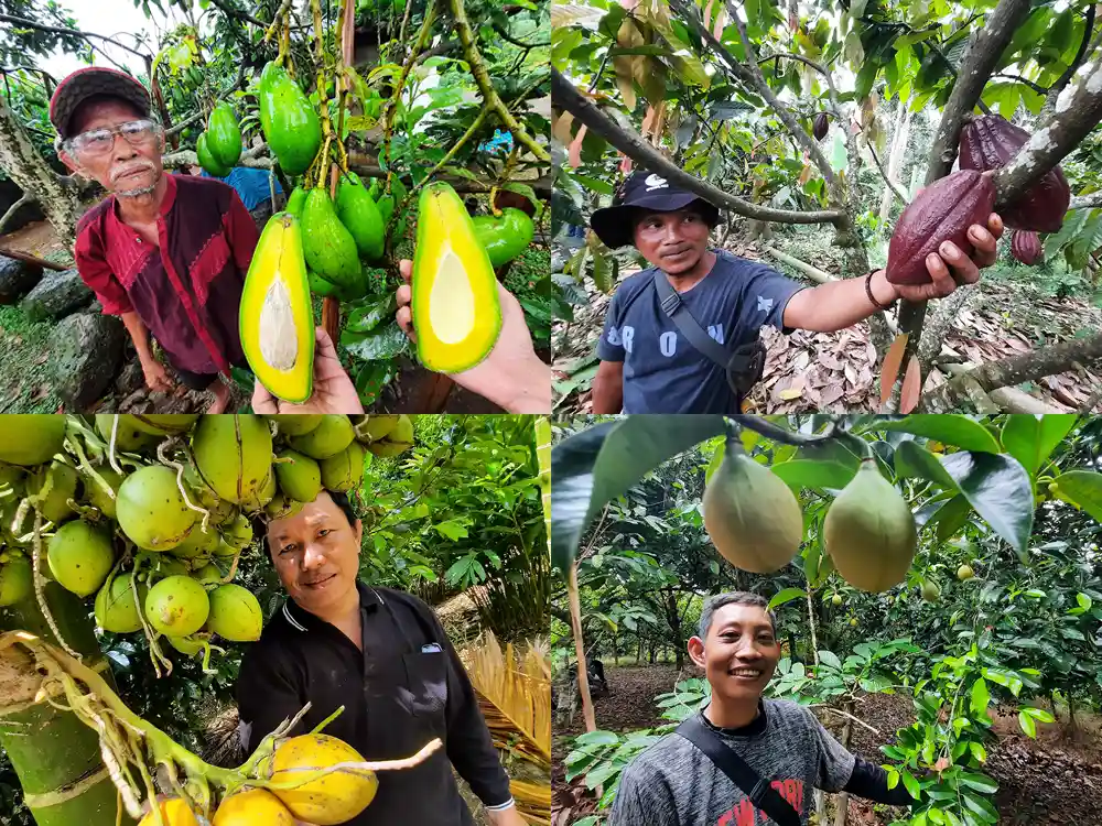 Menjaga Asa Pasca RHL: Saat Pohon dan Kelembagaan Harus Sama-sama Tumbuh
